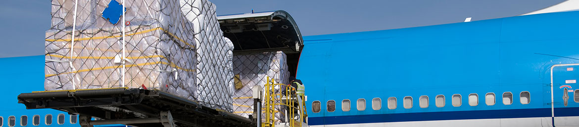 Contact with Your Global Freight Network | Connecta Network